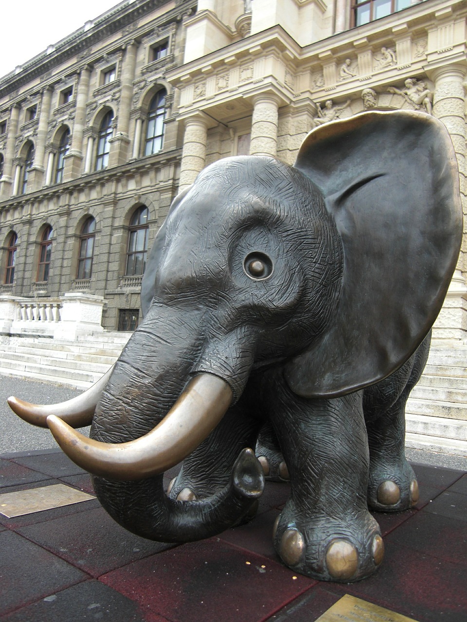 Dramblys,vienna,austria,bronzos statula,figūra - nemokamos nuotraukos ...