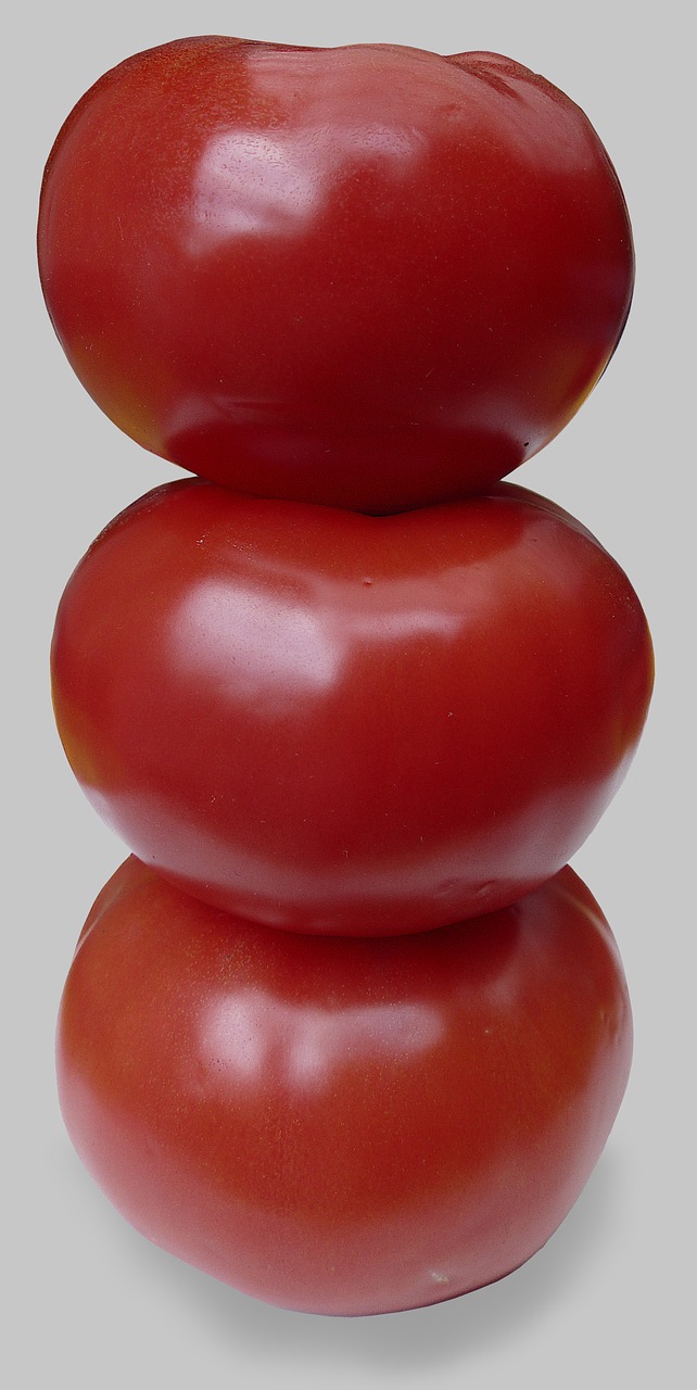 Pomidoras,jautienos pomidorai,sukrauti,užaugę,solanum lycopersicum ...